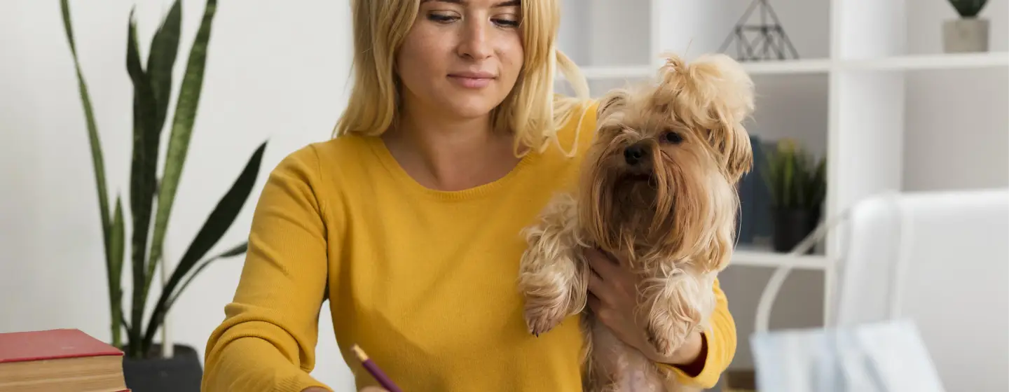 Comprehensive Guide to Responsible Pet Ownership in 2024